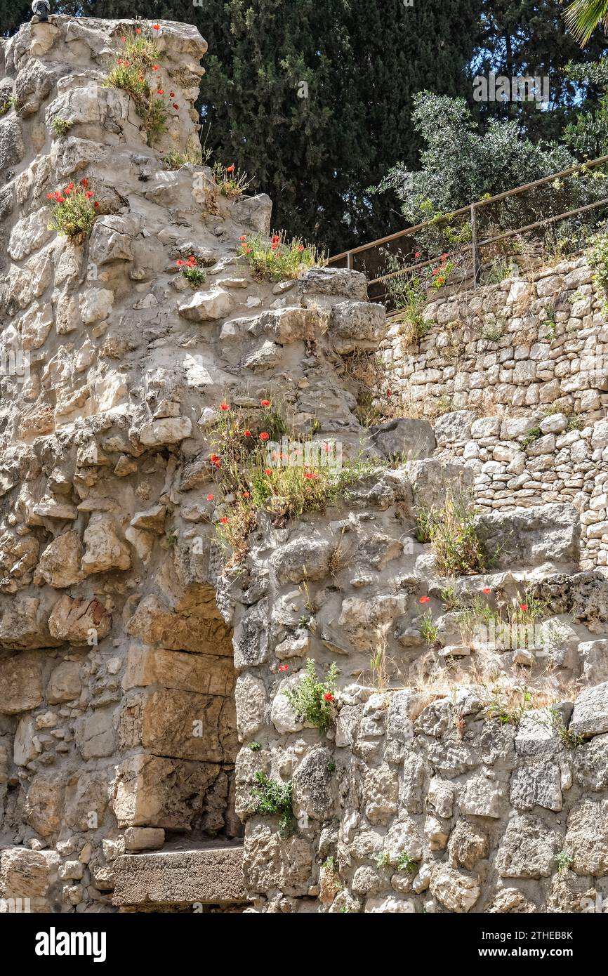 Jerusalem, Israel - May 7, 2022: Ruins of ancient pool Bethesda in Old ...