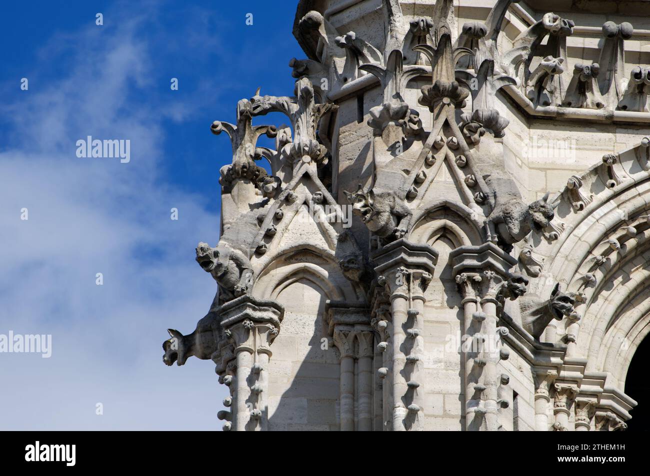The amazing gargoyles of Notre Dame de Paris in France. A Gothic ...