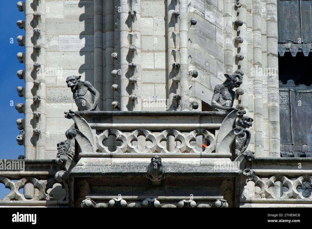 The amazing gargoyles of Notre Dame de Paris in France. A Gothic ...