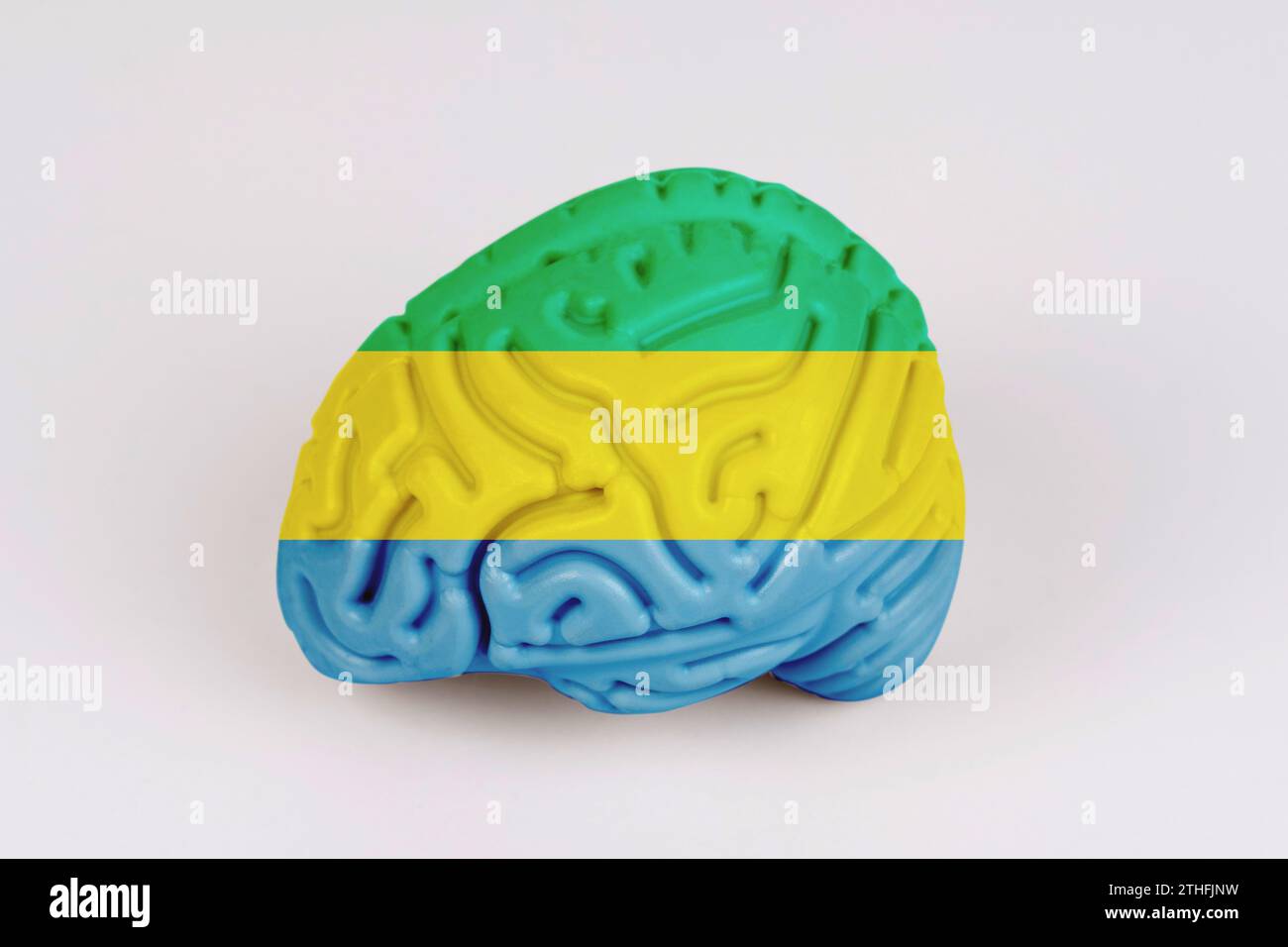 On a white background, a model of the brain with a picture of a flag ...