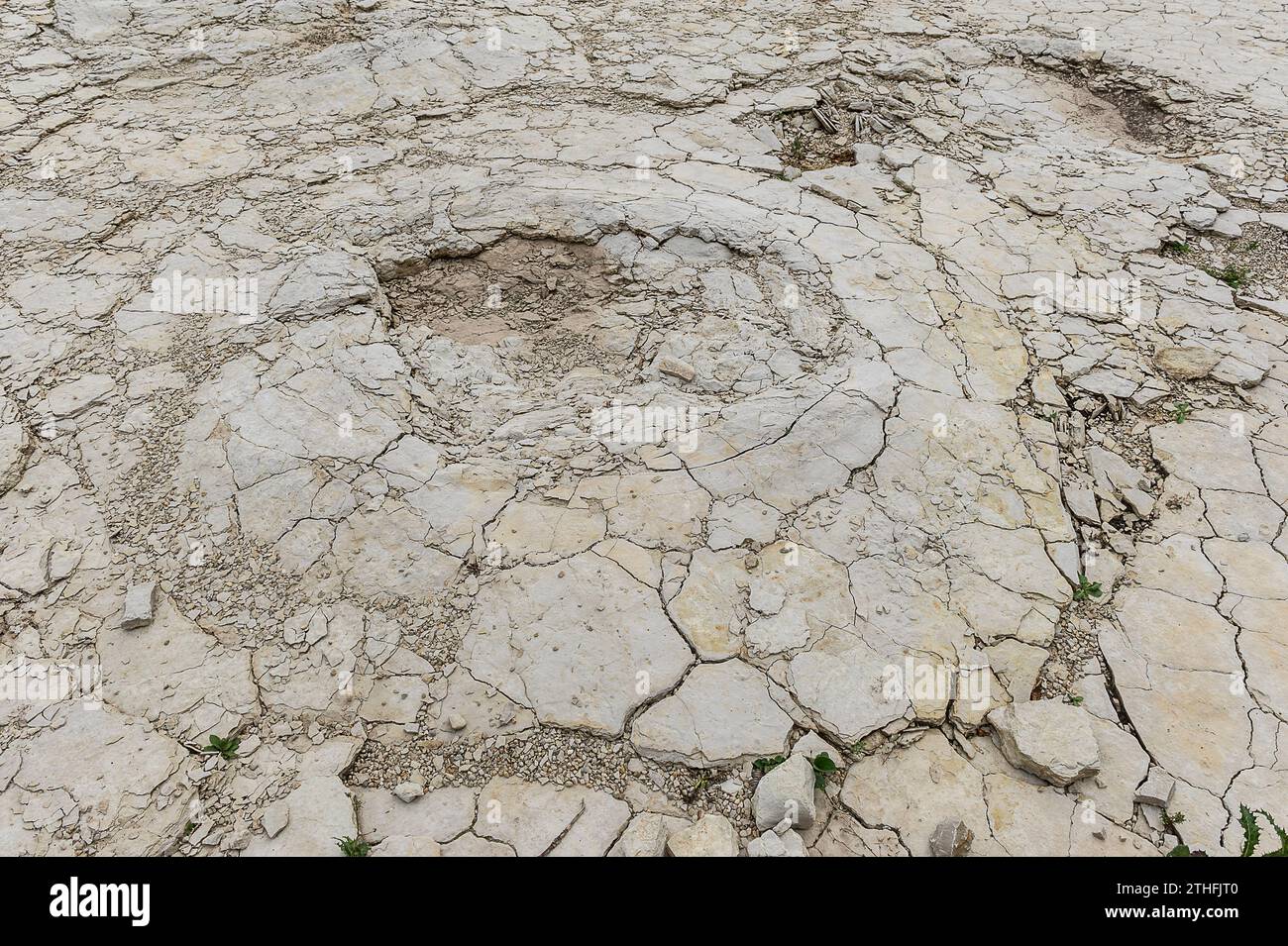 The biggest dinosaur footprints in France nearby the village of Plagne ...