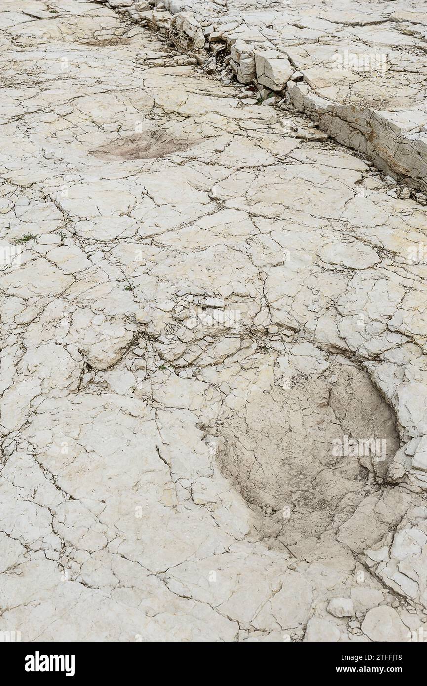 The biggest dinosaur footprints in France nearby the village of Plagne ...