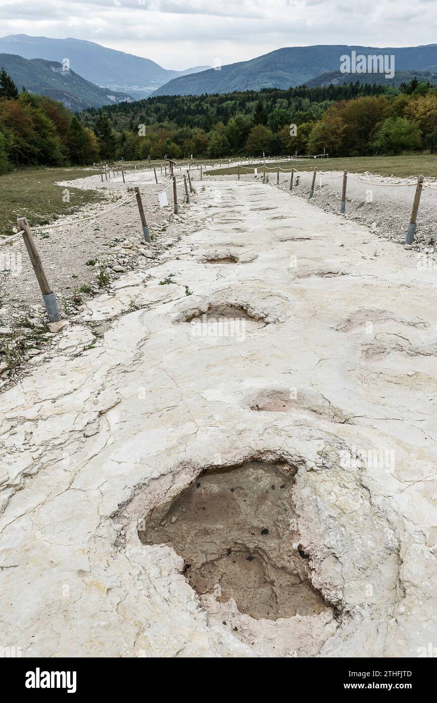 The biggest dinosaur footprints in France nearby the village of Plagne ...