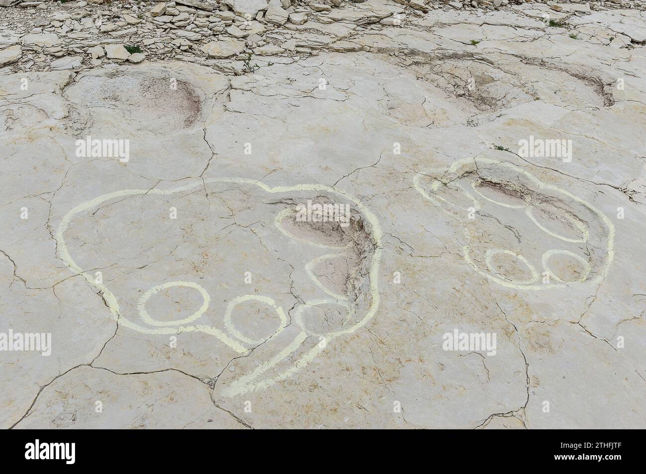 The biggest dinosaur footprints in France nearby the village of Plagne ...