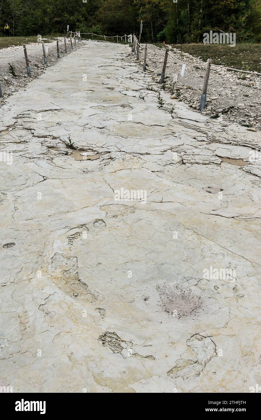 The biggest dinosaur footprints in France nearby the village of Plagne ...