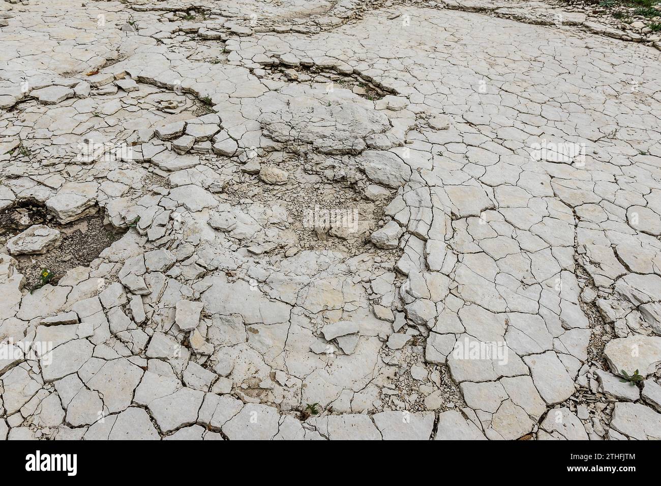 The biggest dinosaur footprints in France nearby the village of Plagne ...
