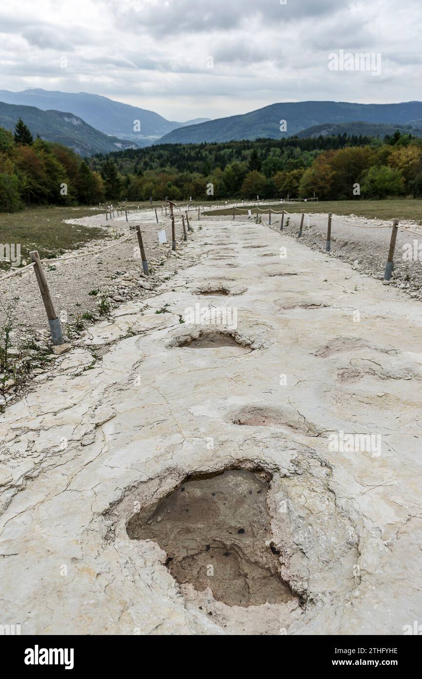 The biggest dinosaur footprints in France nearby the village of Plagne ...