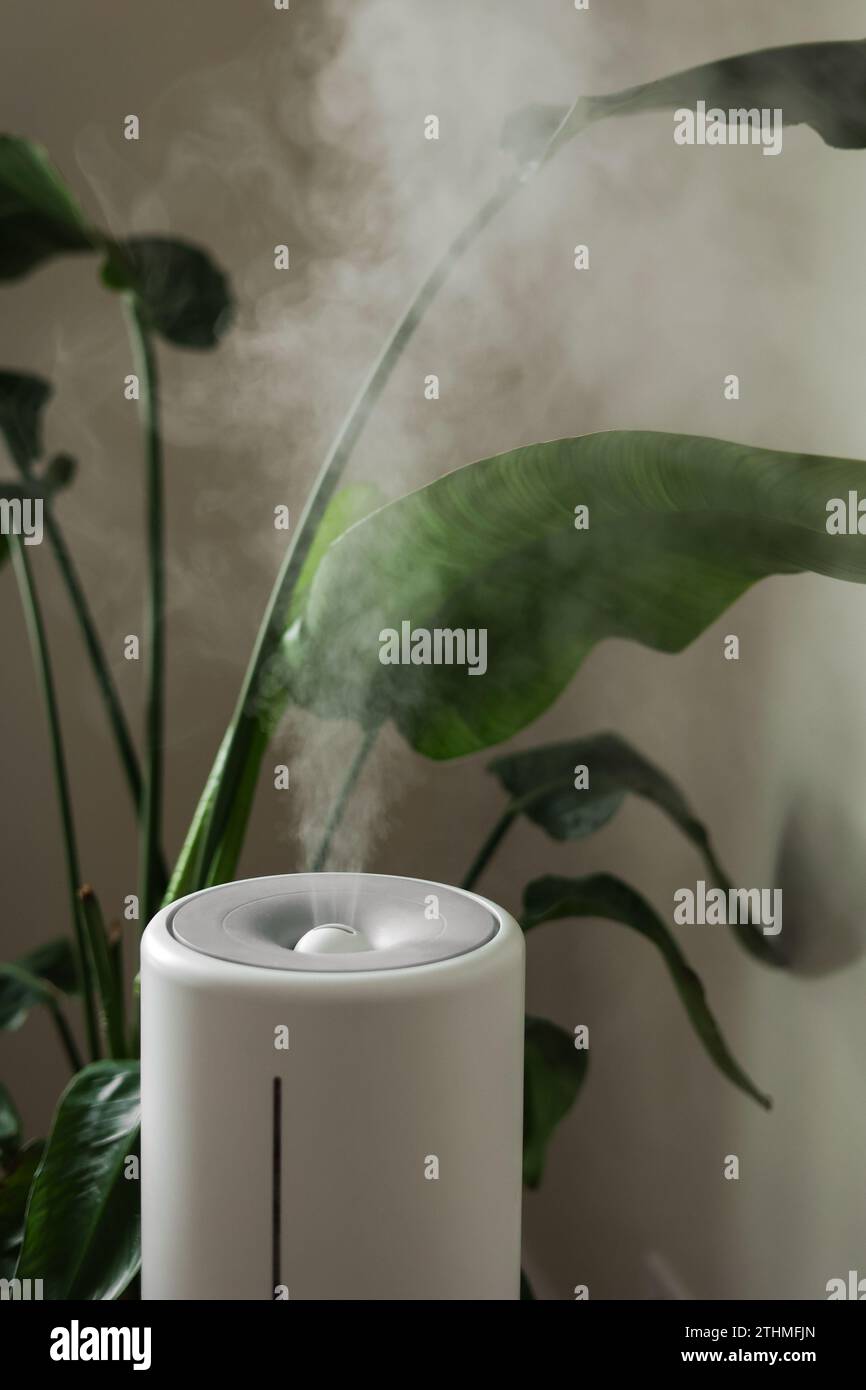 Ultrasonic diffuser, air purifier, humidifier releases stream of cold ...
