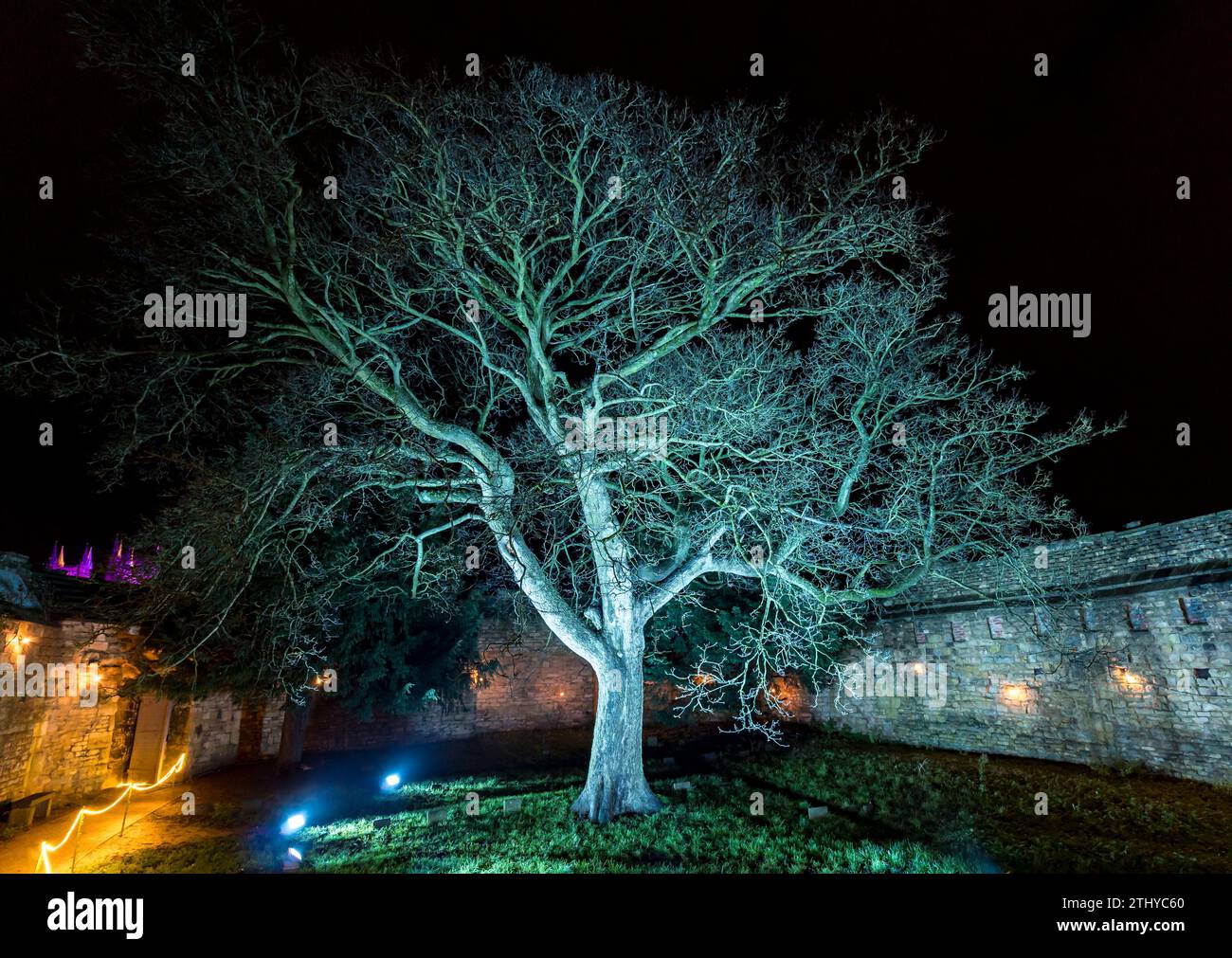Illuminated tree in centre of ruins of lucy tower hi-res stock ...
