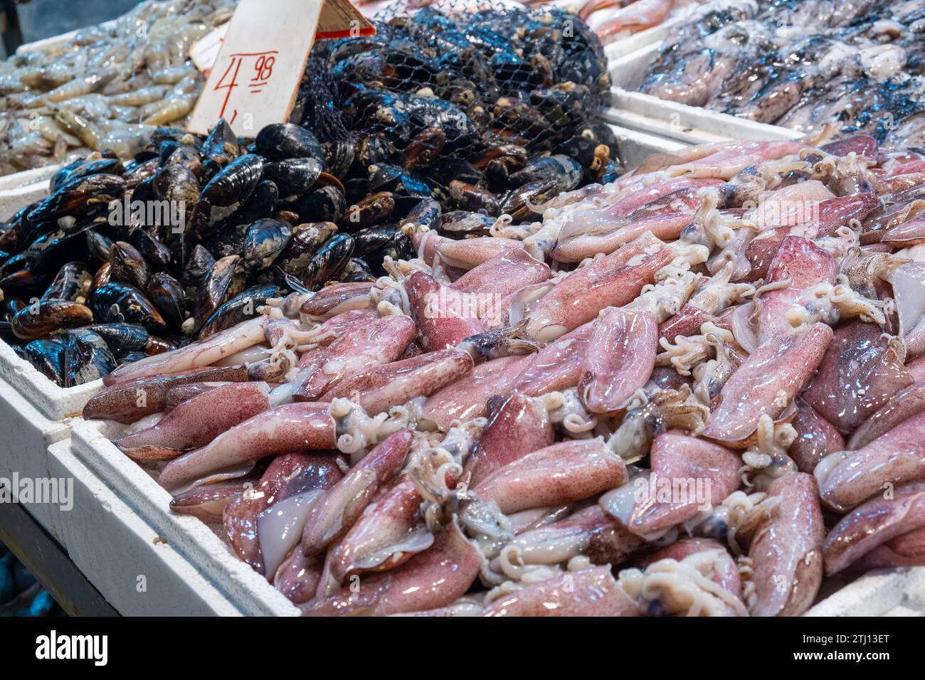 Fresh squids and mussels lying on ice counter at seafood market in ...