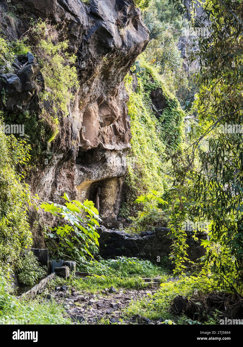 The levada walk from Monte to Funchal in Madeira, known as Levada do ...