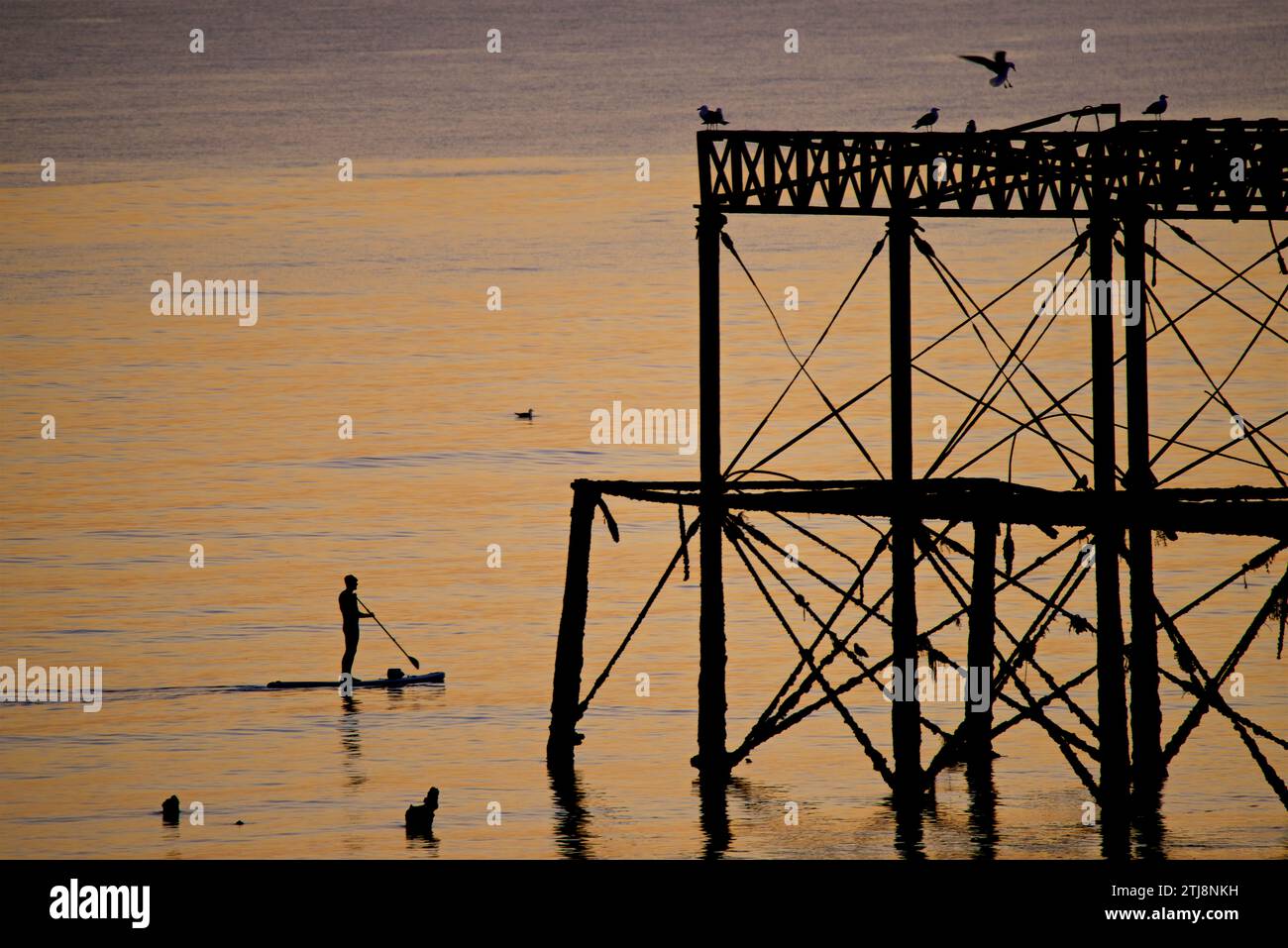 Silhouetted paddleboarder paddleboarding around the derelict West Pier ...
