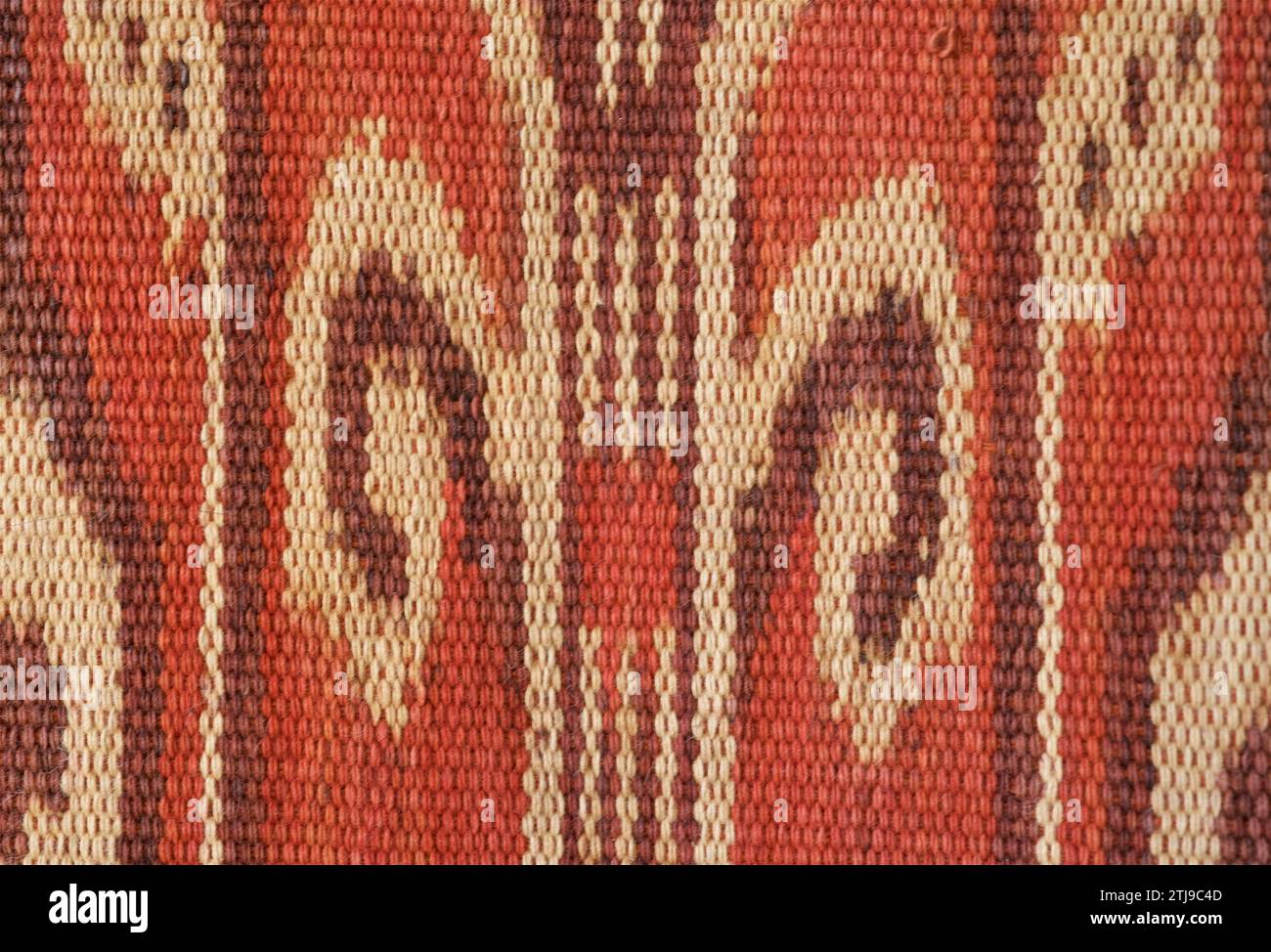 Detail of warp ikat decorated Pua Kumbu with motifs representing ...