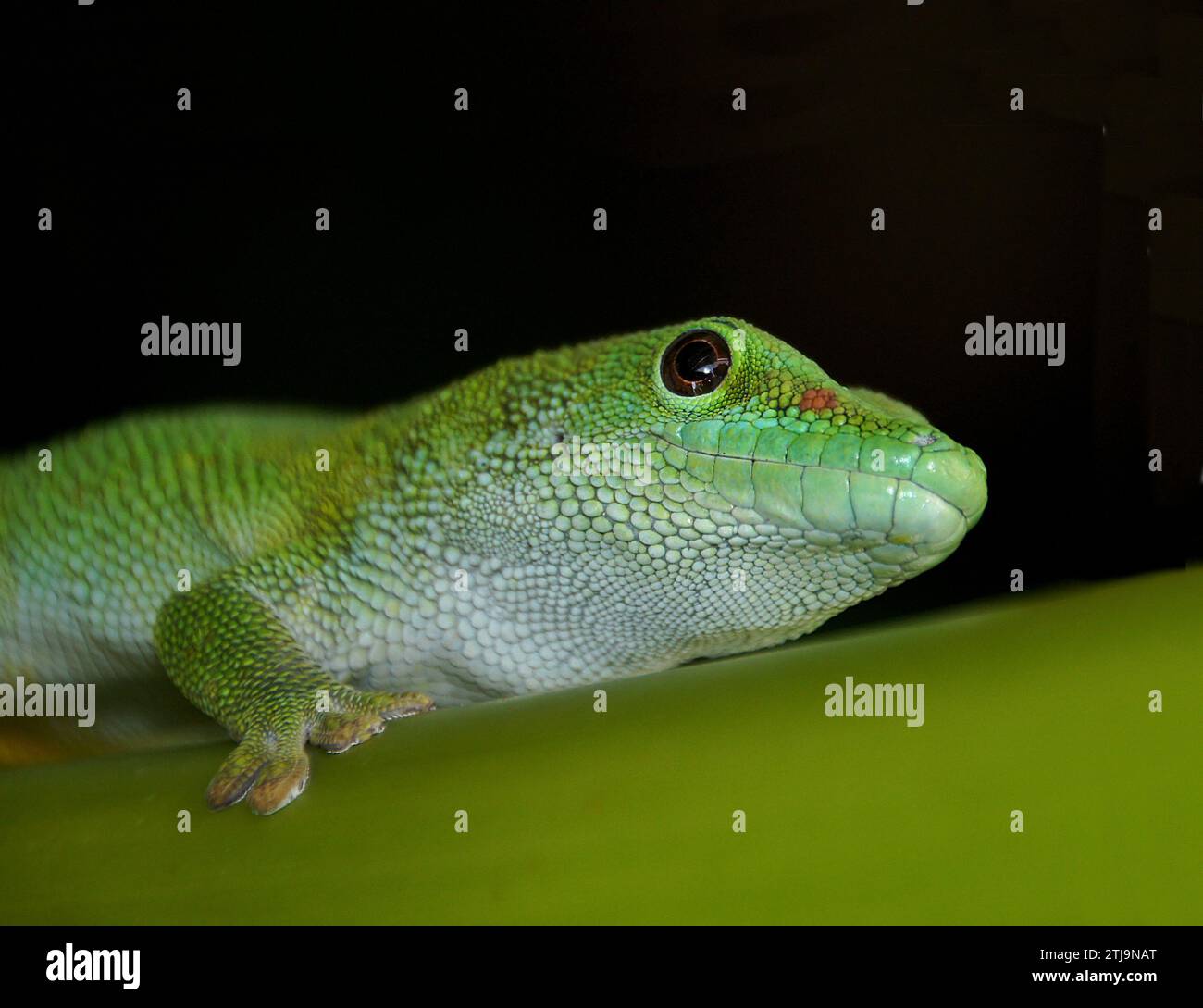 Misc22 bs327 hi-res stock photography and images - Alamy