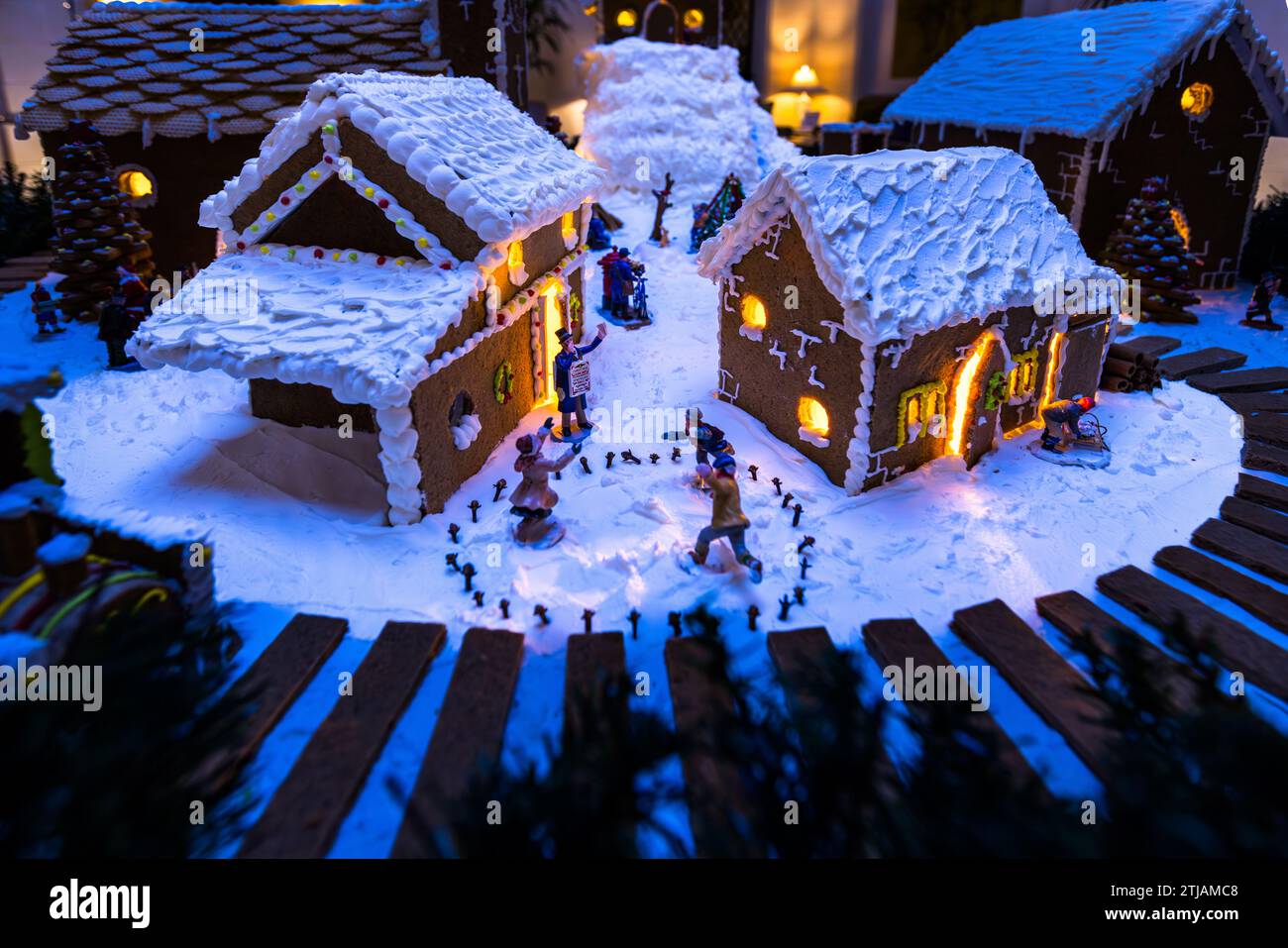 Gingerbread landscape with an entire village and its skating ...