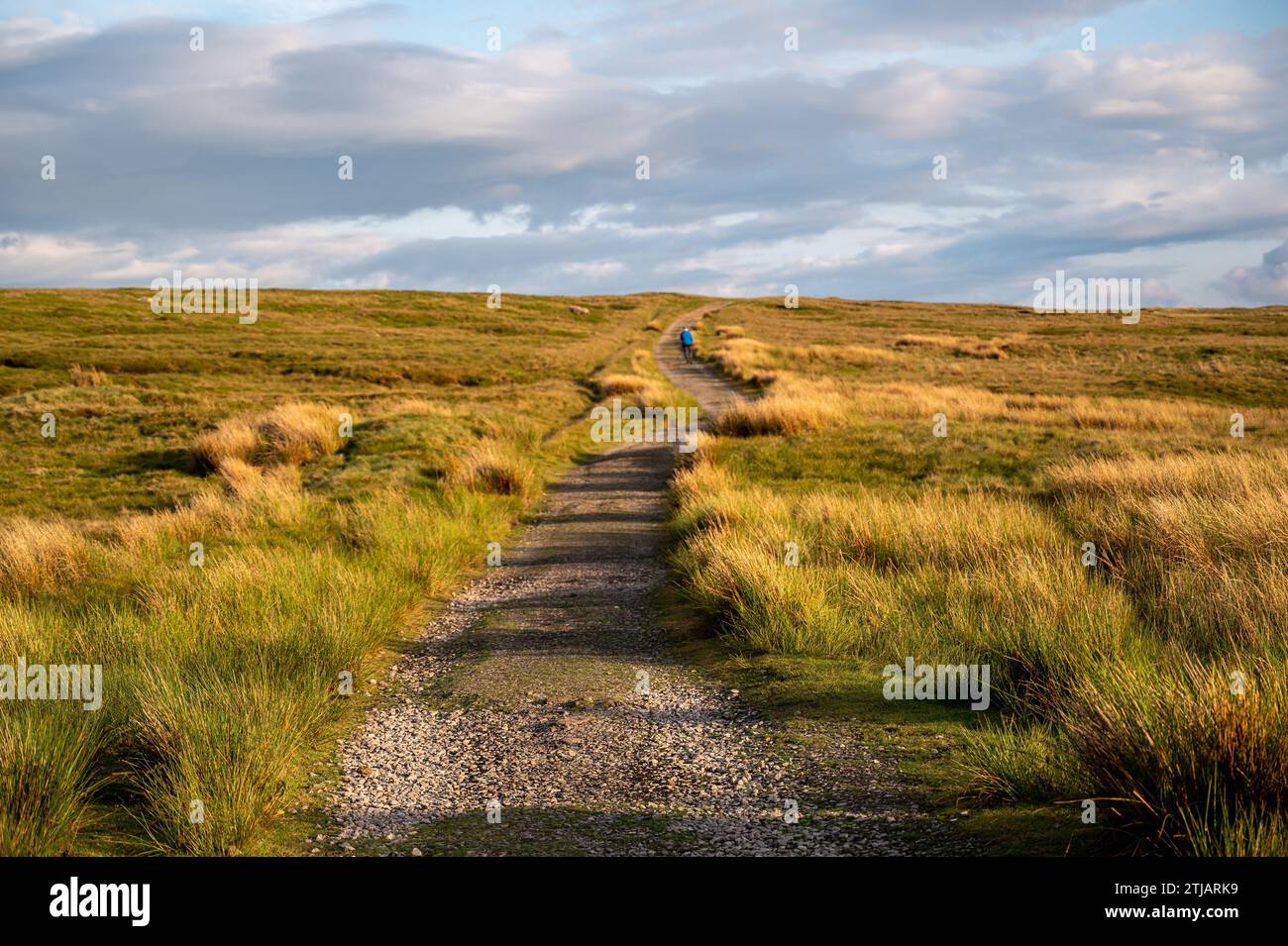 Narrow road in countryside in England Stock Photo - Alamy