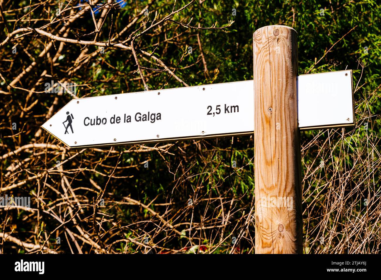 Vertical route marking. Cubo de La Galga. Puntallana, La Palma, Santa ...