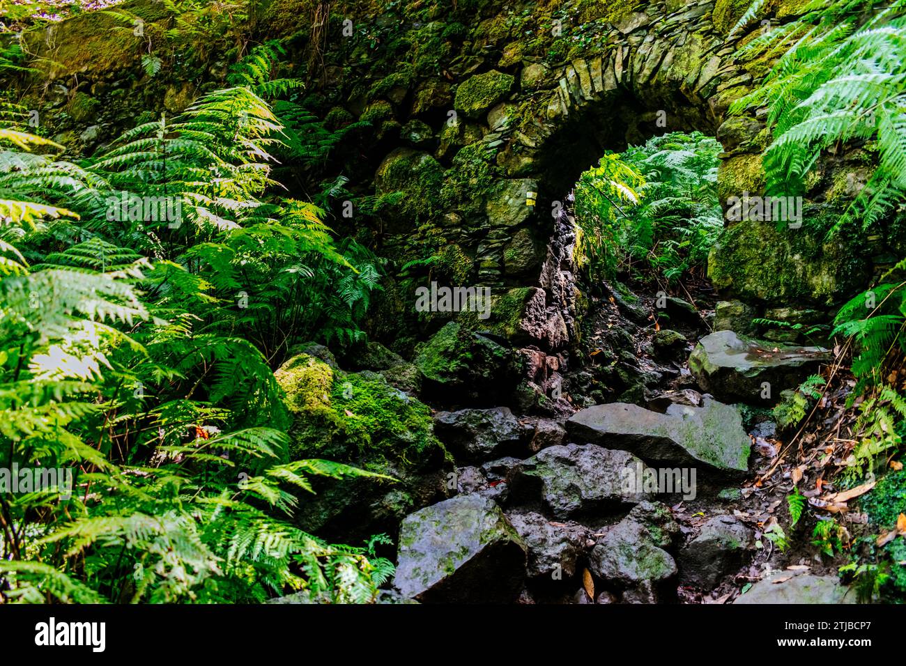 Conduction pathway hi-res stock photography and images - Alamy