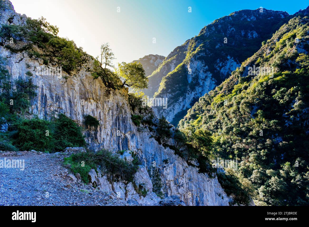 Narrow gorge hi-res stock photography and images - Alamy
