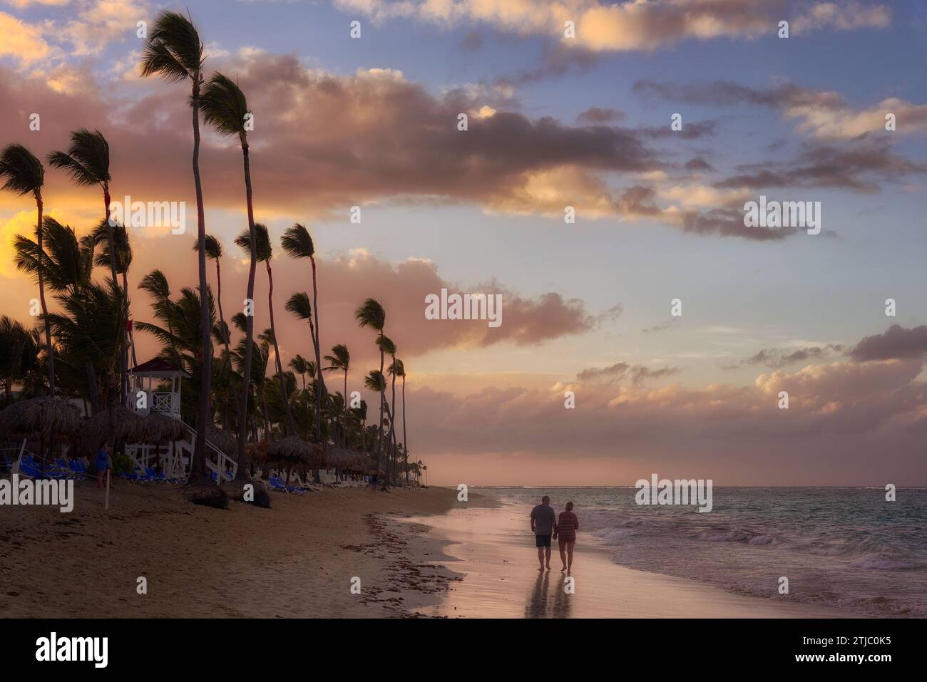 Palm trees on the beach punta cana dominican republic hi-res stock photography and images - Alamy