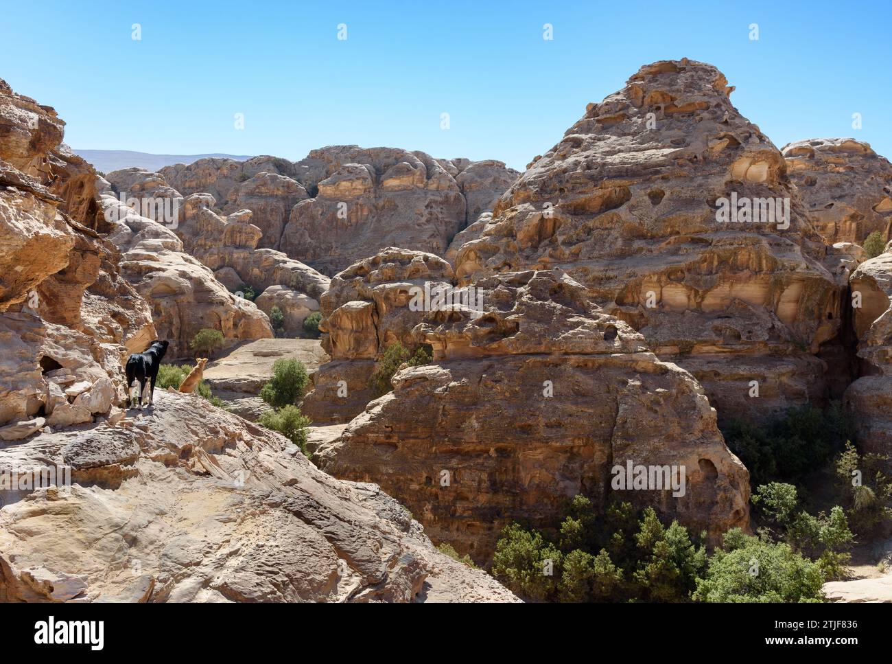 Maoan hi-res stock photography and images - Alamy