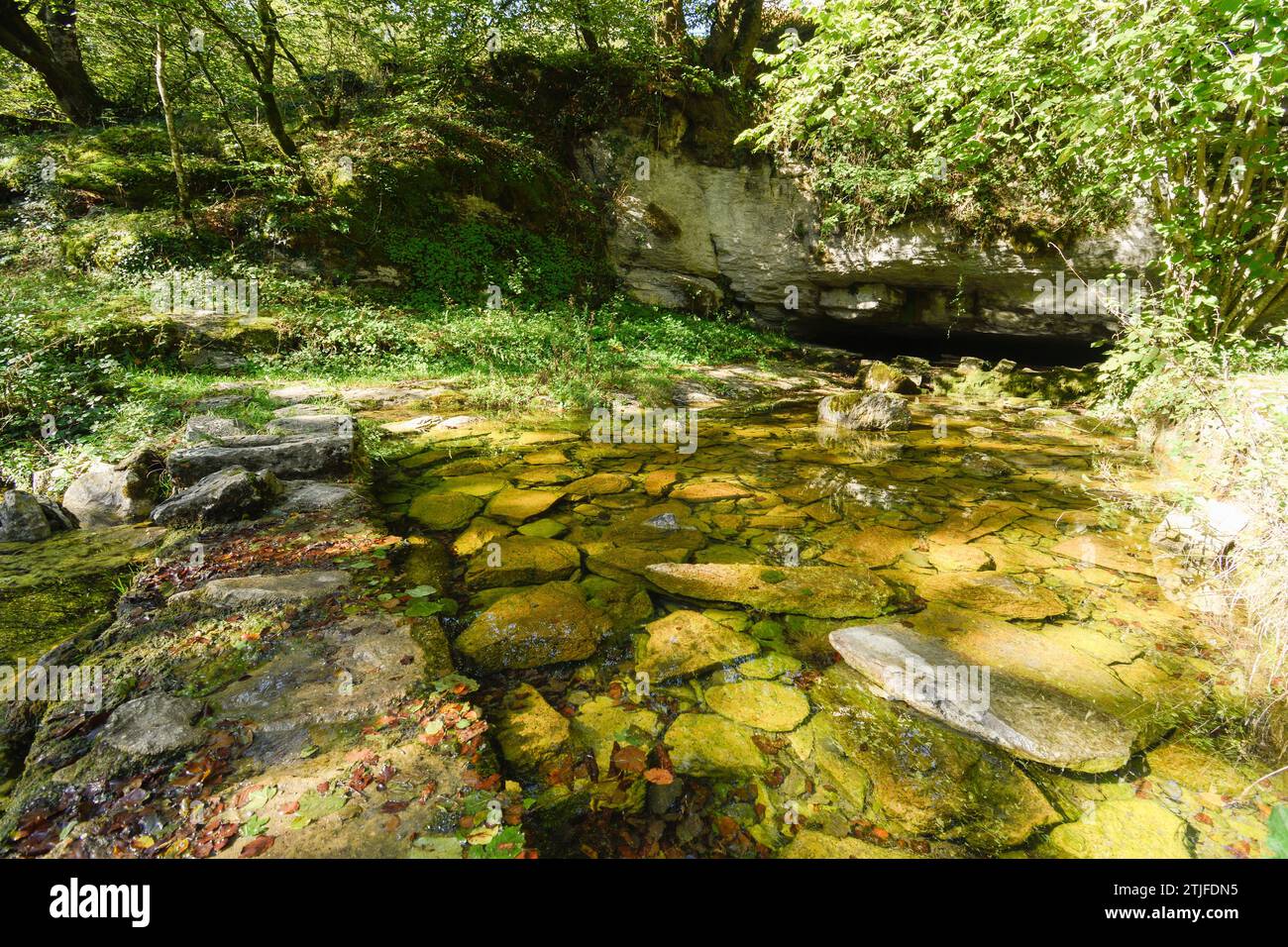 Groundwater lake hi-res stock photography and images - Alamy