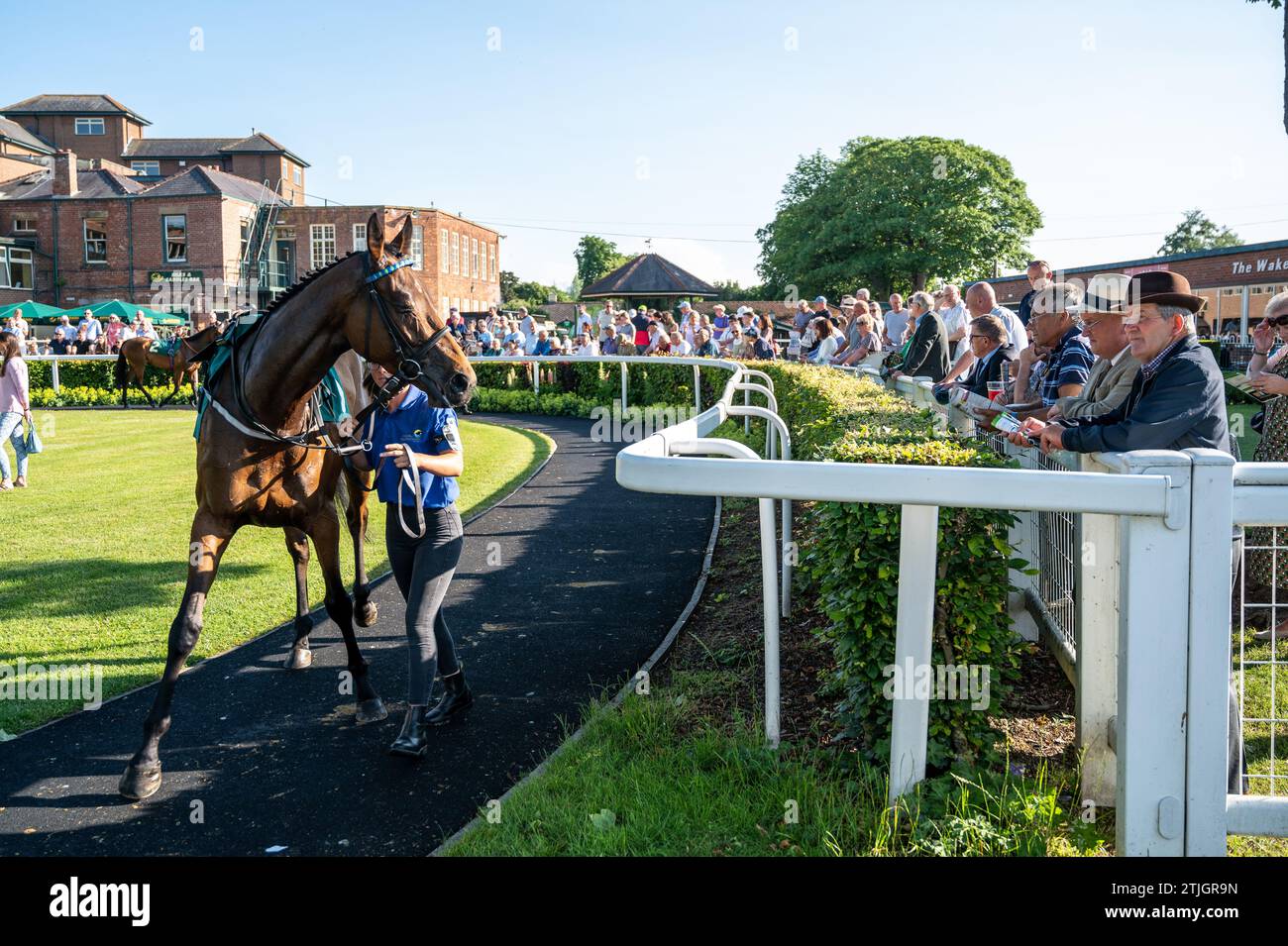 Middleham races hi-res stock photography and images - Alamy