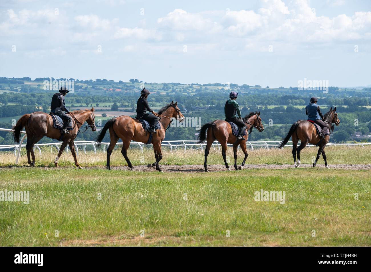 Middleham races hi-res stock photography and images - Alamy