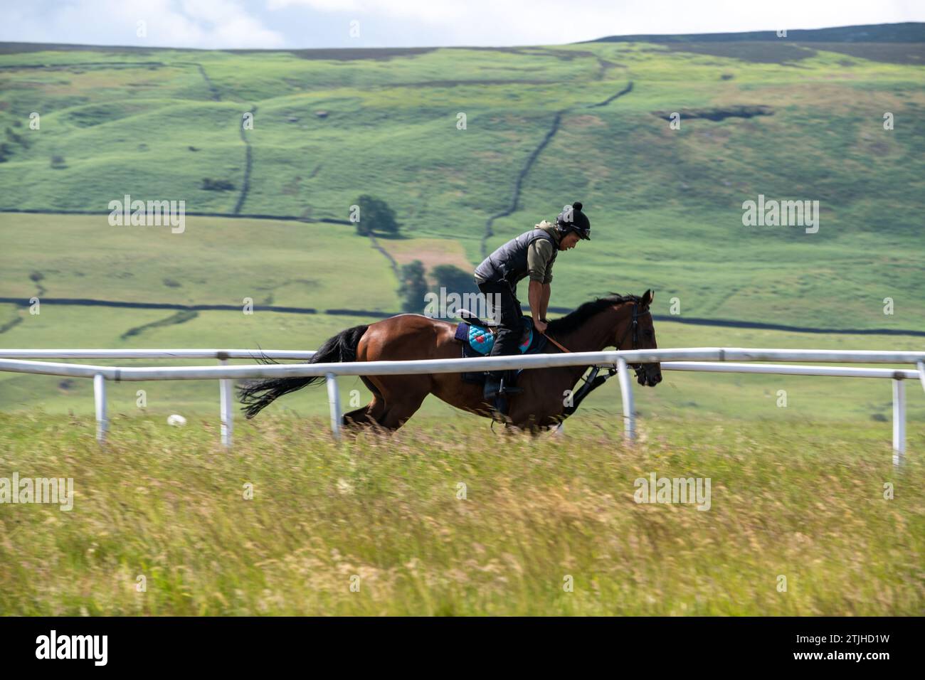 Middleham horse hi-res stock photography and images - Alamy