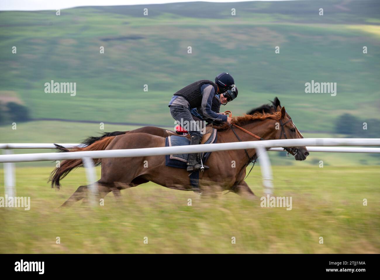 Middleham horse hi-res stock photography and images - Alamy
