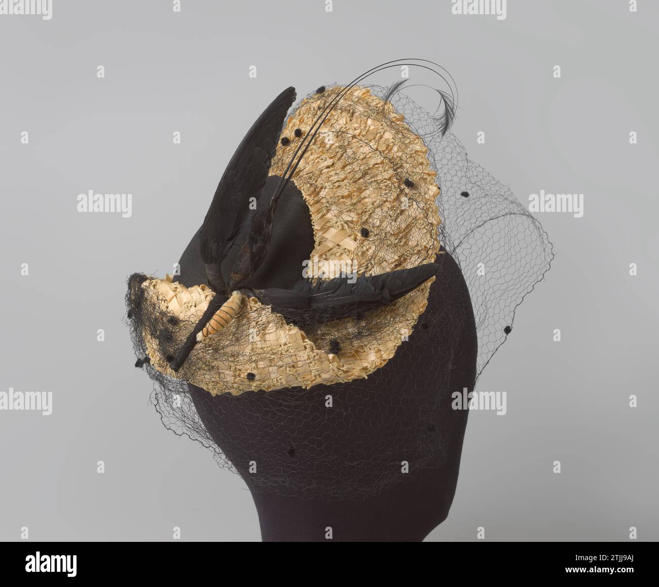 Straw hat back bird hi-res stock photography and images - Alamy
