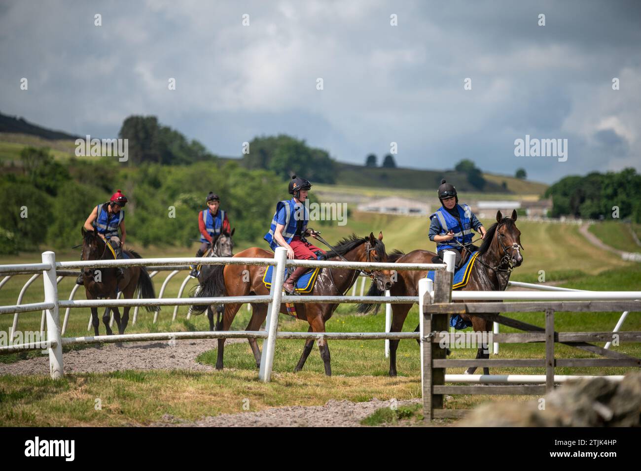 Middleham horse hi-res stock photography and images - Alamy