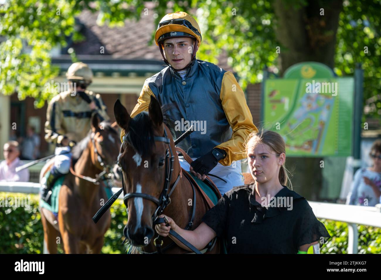 Race horse's in Ripon Races England 2023 Stock Photo - Alamy