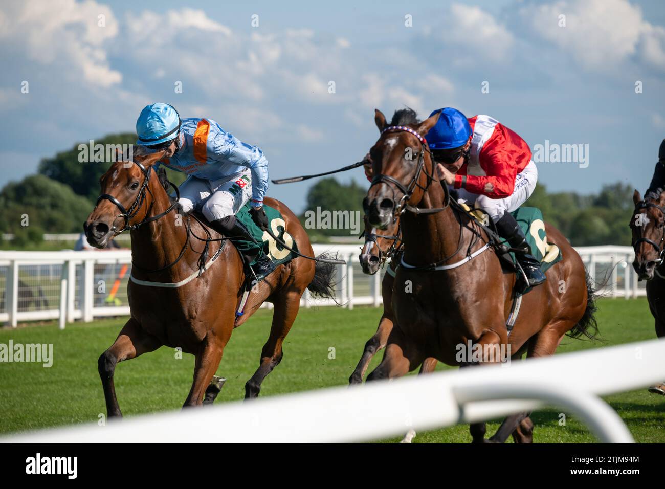 Race horse's in Ripon Races England 2023 Stock Photo - Alamy