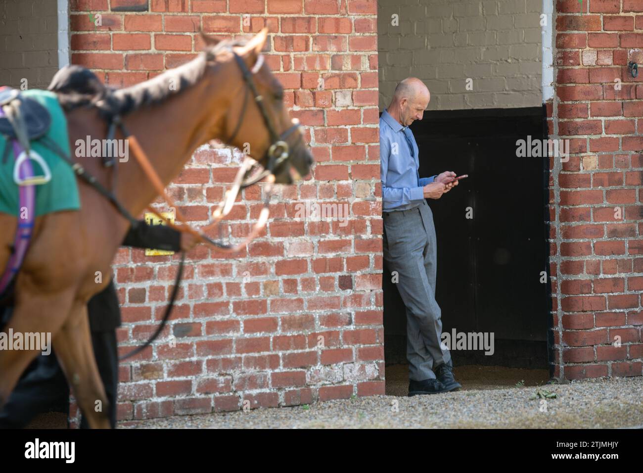 Race horse's in Ripon Races England 2023 Stock Photo - Alamy