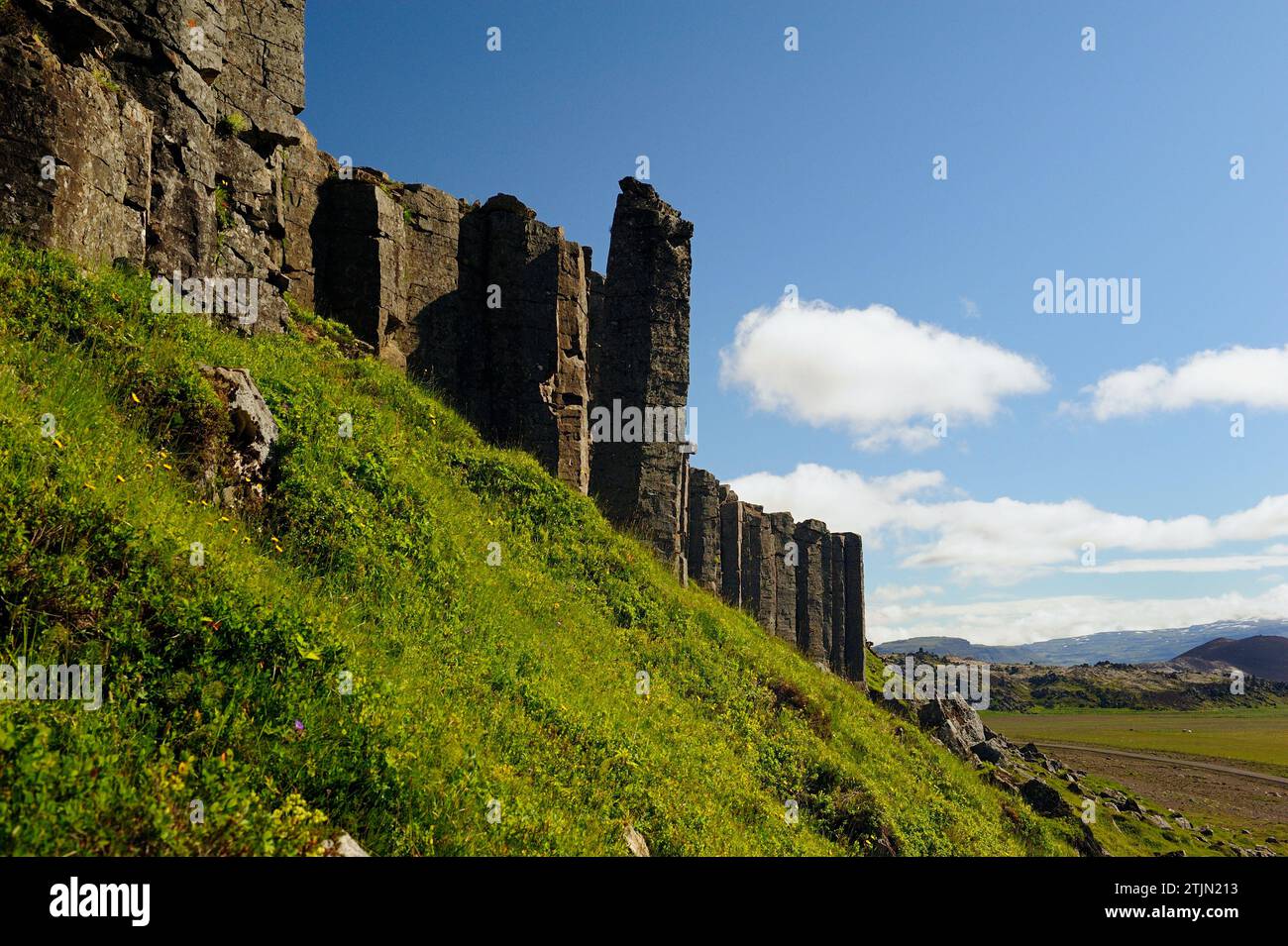 Interlocking Basalt columns near Rif in Iceland forming a cliff Stock Photo - Alamy