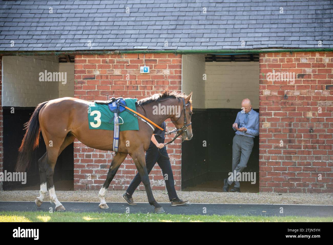 Race horse's in Ripon Races England 2023 Stock Photo - Alamy