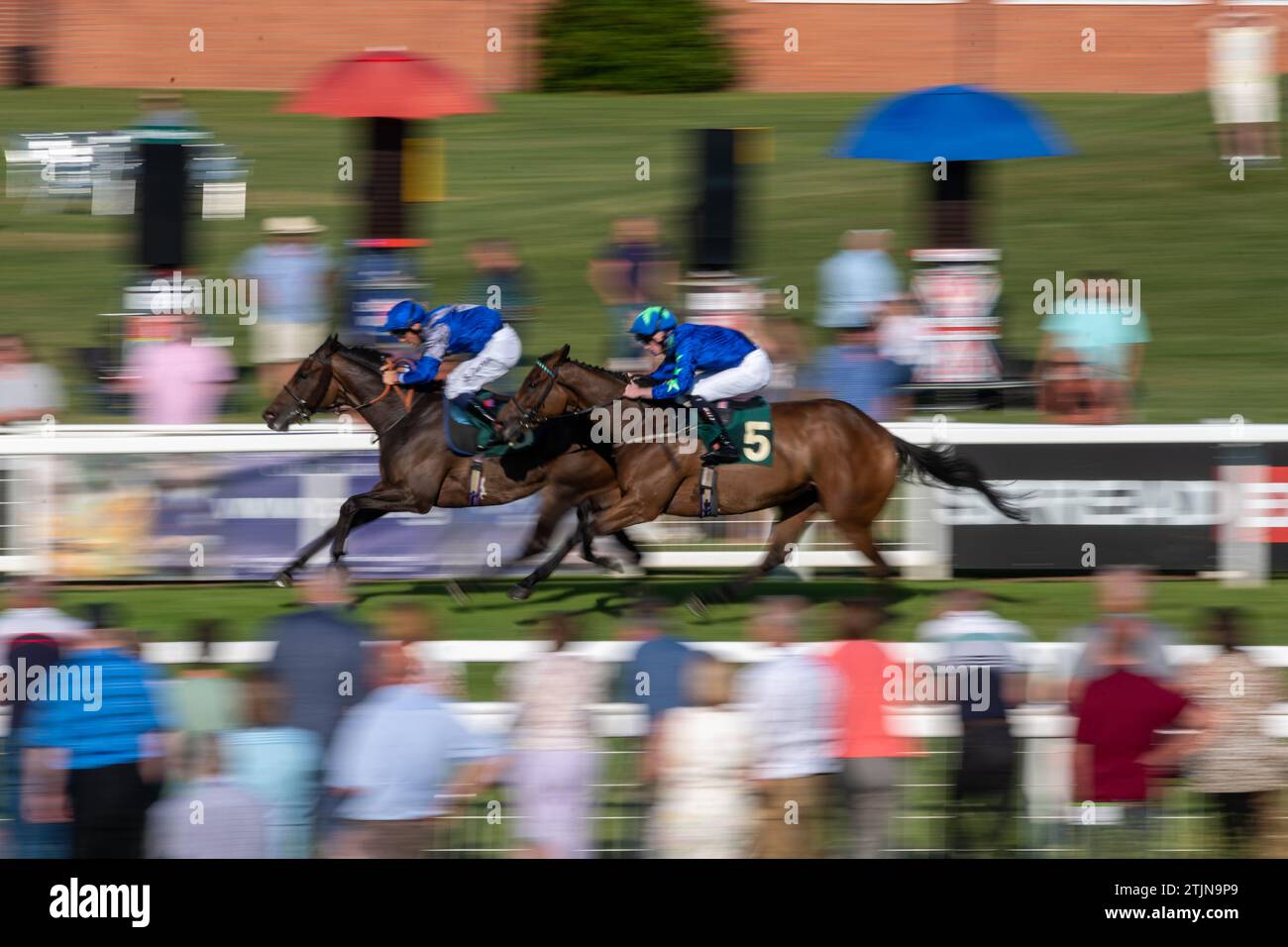 Race horse's in Ripon Races England 2023 Stock Photo - Alamy