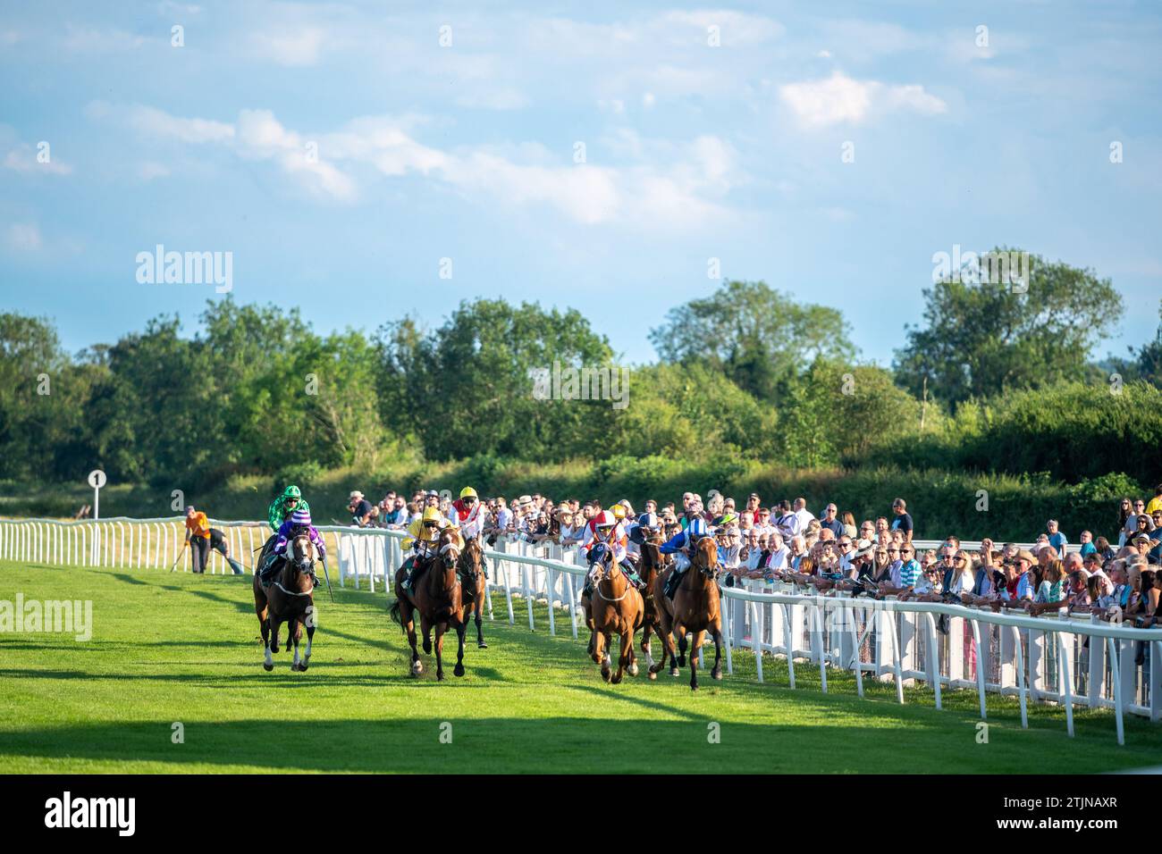 Ripon races hi-res stock photography and images - Alamy