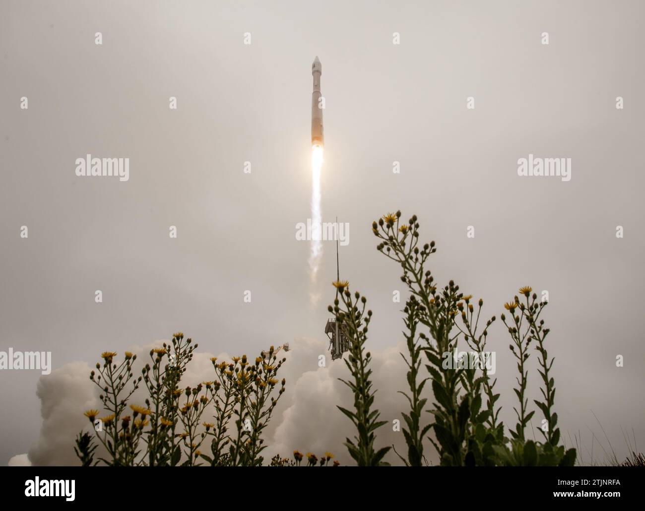 Delta 3 force hi-res stock photography and images - Alamy