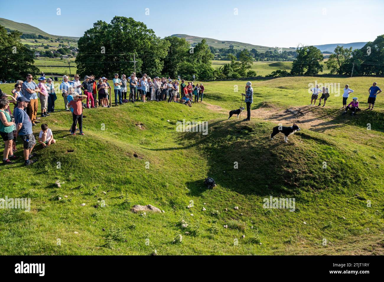 Perro obejero hi-res stock photography and images - Alamy
