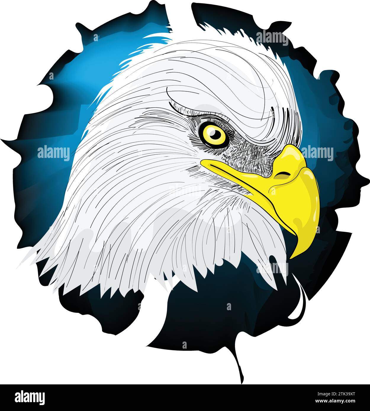 Bald eagle head Stock Vector Image & Art - Alamy