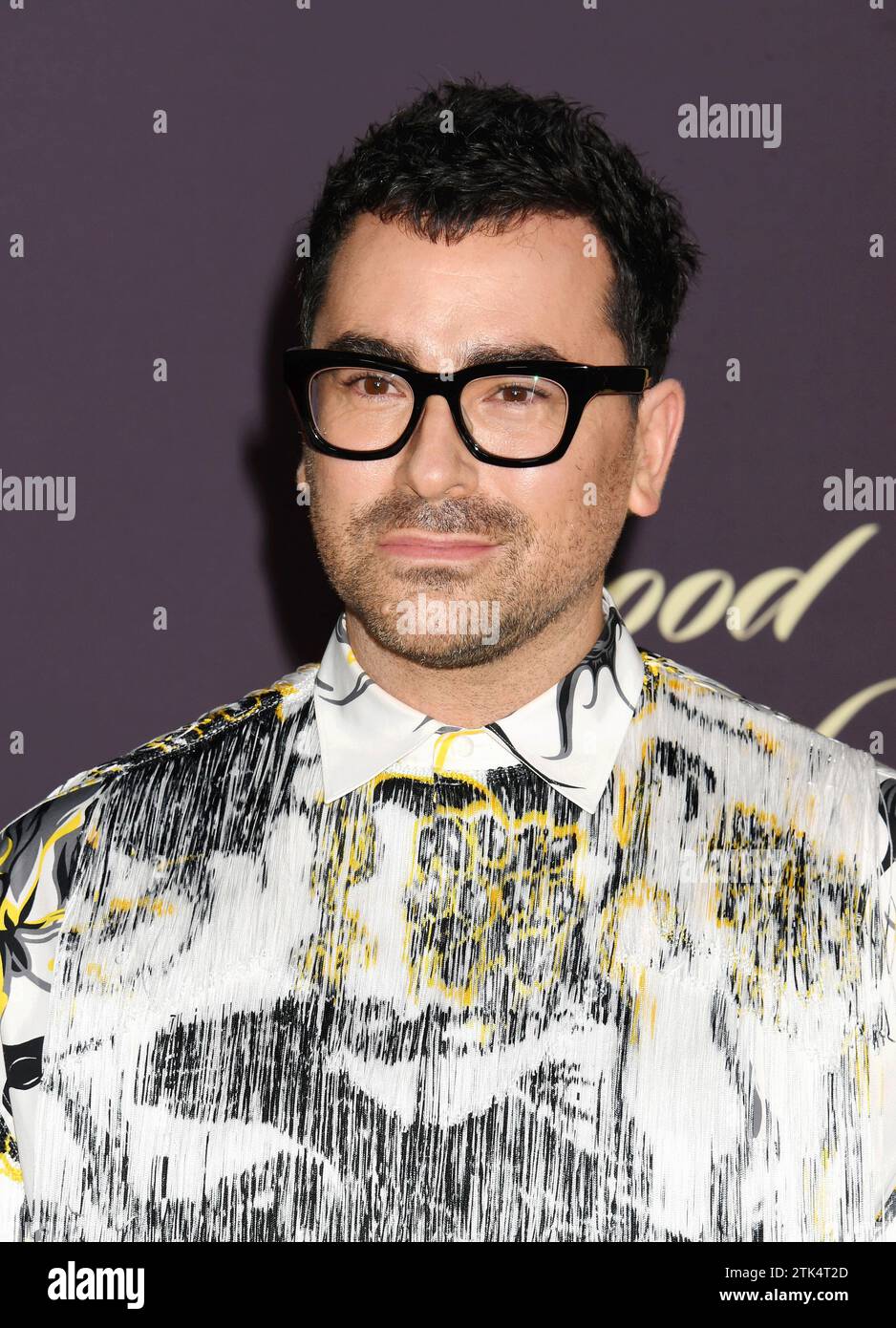 LOS ANGELES, CALIFORNIA - DECEMBER 19: Daniel Levy attends the Los ...
