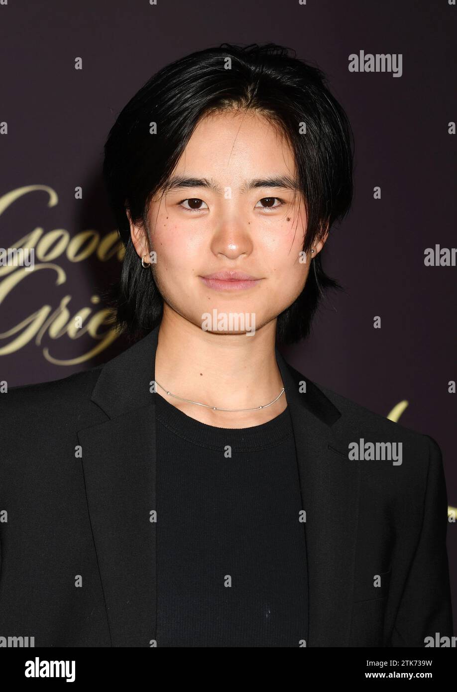 LOS ANGELES, CALIFORNIA - DECEMBER 19: Terry Hu attends the Los Angeles ...