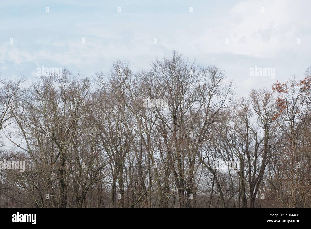An afternoon at Covered Bridge Park in New Britain, PA Stock Photo - Alamy
