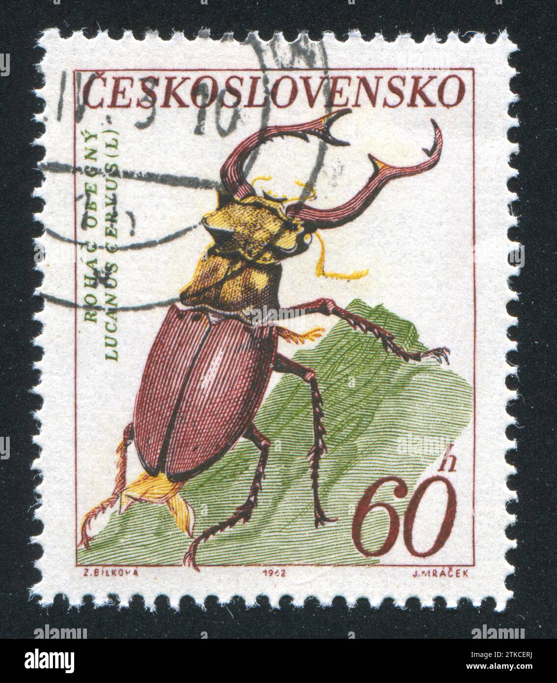 CZECHOSLOVAKIA - CIRCA 1962: stamp printed by Czechoslovakia, shows ...