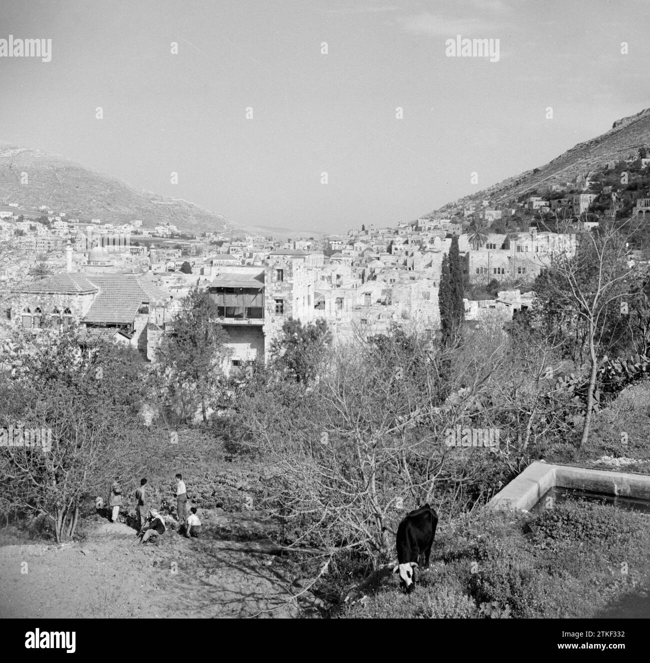 1950s nablus hi-res stock photography and images - Alamy