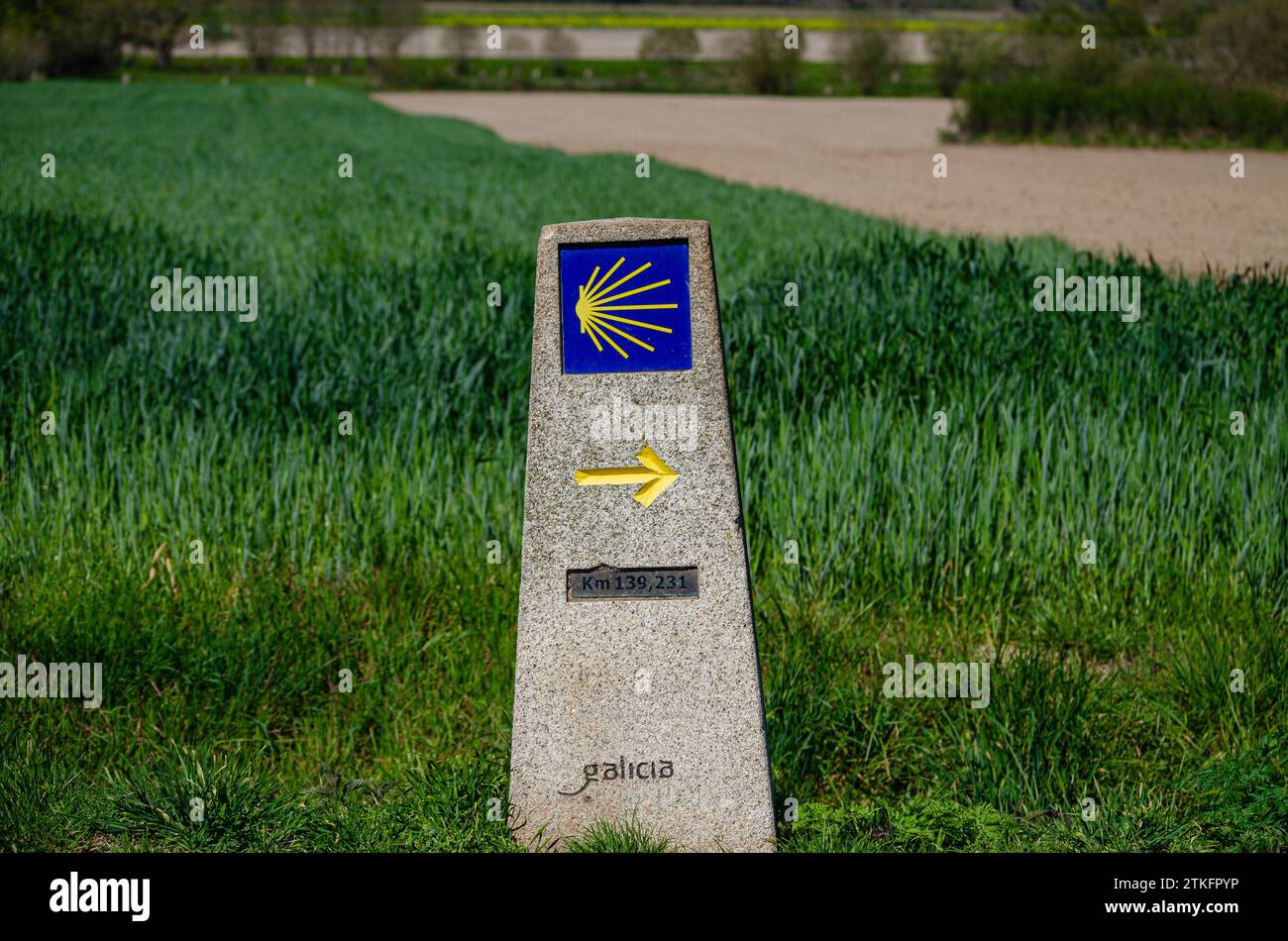 signpost of the Camino de Santiago in Galicia. Pilgrimage concept Stock ...