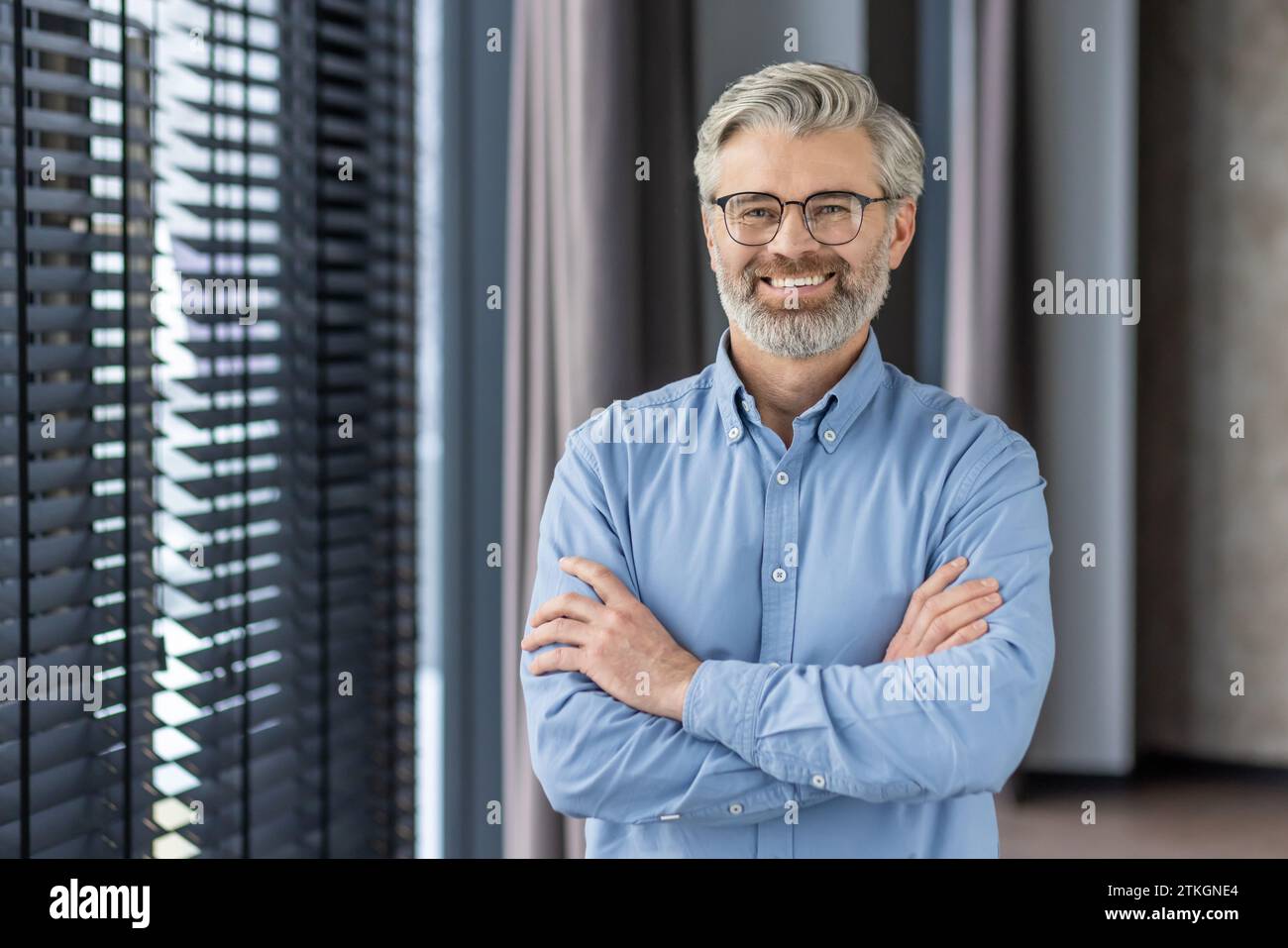 Portrait of mature successful businessman boss, senior gray-haired man ...