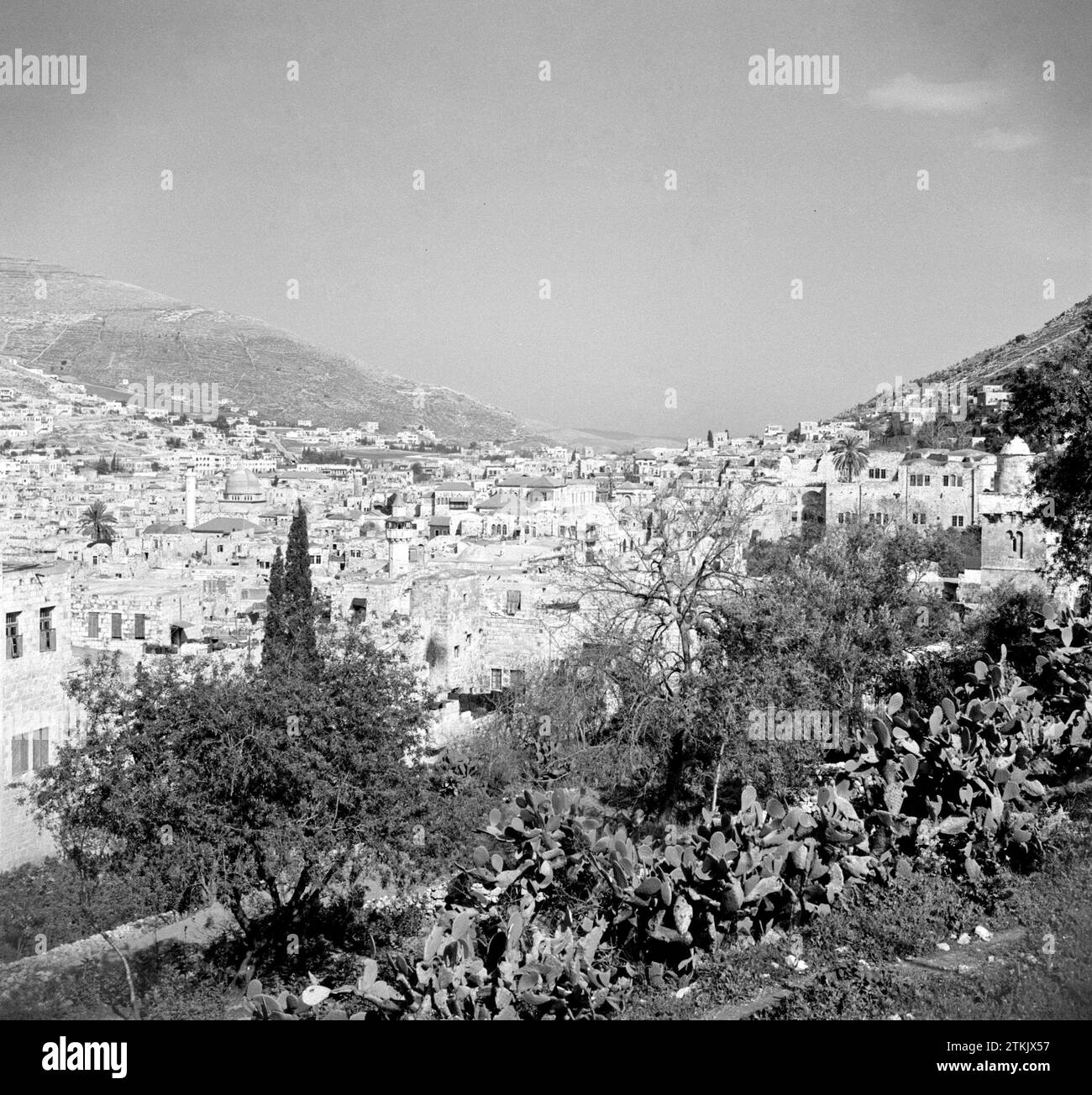 1950s nablus hi-res stock photography and images - Alamy